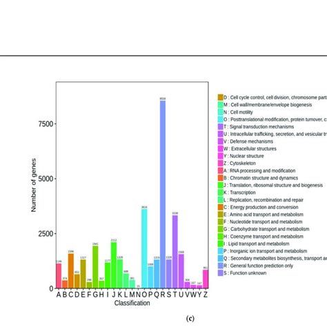 Assembly And Annotation Of The Transcriptome From The Pulp Of Feizixiao