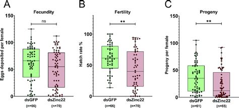 Impact Of Silencing Of Zinc22 Lncrnas On Fecundity Oviposition