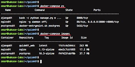 docker guide dockerizing python django application