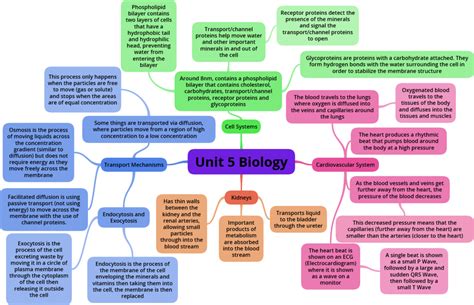 Science Btec Unit 5 Biology Diagram Quizlet