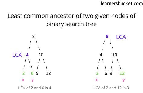 find least common ancestor lca of binary tree learnersbucket