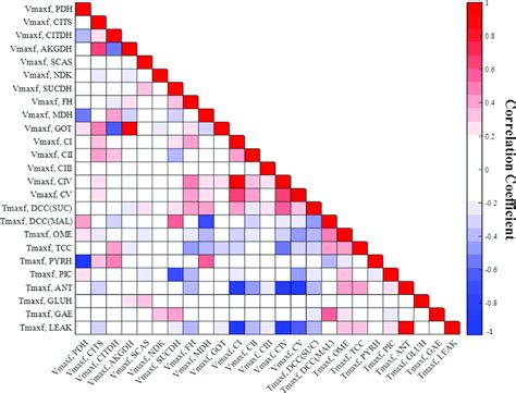 Matrix Of Correlation Coefficients Between The Extrinsic Parameters Of