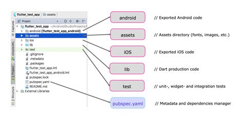 flutter the beginning of a new era an introduction part 1