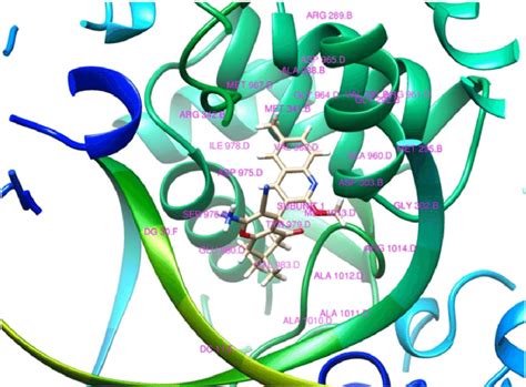 Ligand Binding Mode Of 4l Inside Mtb Dna Gyrase [color Figure Can Be