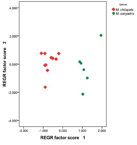 Results Of Principal Components Analysis Pca Of 25 Morphometric
