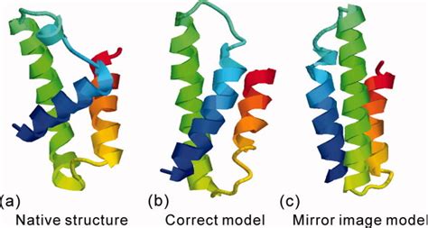 I‐tasser Fully Automated Protein Structure Prediction In Casp8 Zhang