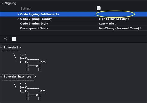 swift macos app cannot run executable in usr local bin stack overflow