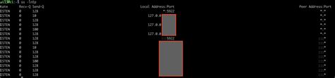 debian cannot reach ssh autossh from outside the