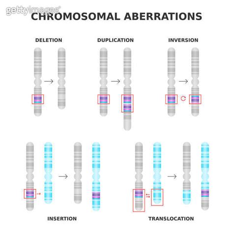 Chromosomal Aberrations Deletion Duplication Inversion