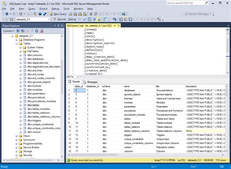accessing repository database dataedo documentation