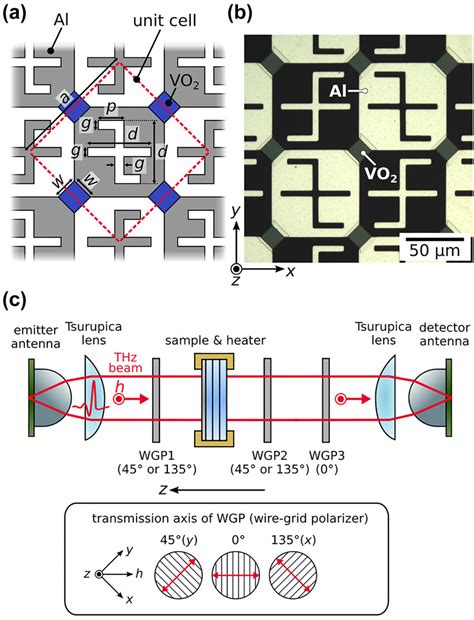 A Schematic Of The Designed Metasurface The Red Dashed Square