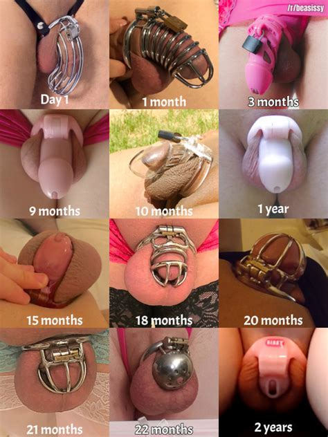 Evolution Of The Size Of The Chastity Cage Over Freewind