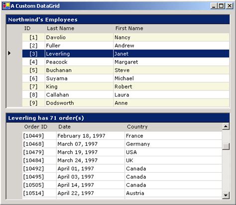 customize the windows forms datagrid control