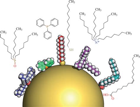 Figure 1 From Surface Modification Functionalization And