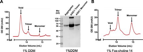 Figures And Data In Structure And Analysis Of Nanobody Binding To The