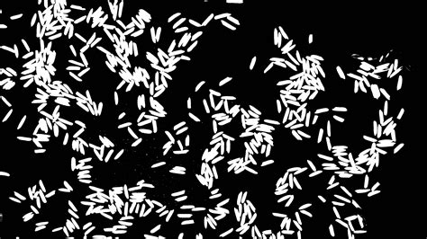 python fill holes holes area in a binary image using