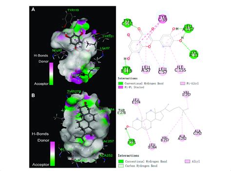 The Binding Mode Of Compounds With Target Proteins A Quercetin Tnf