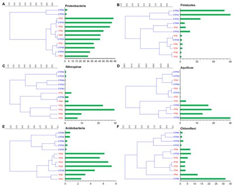 16s amplicon sequencing of microbial communities in enriched and non