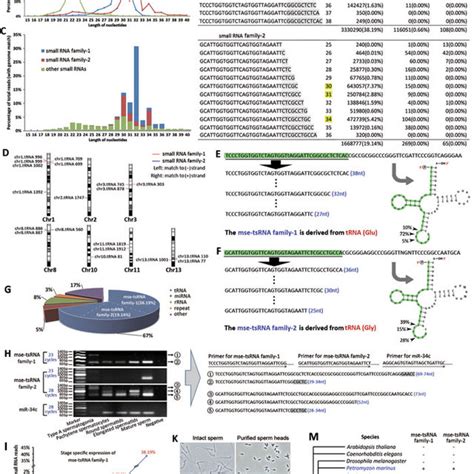 Identification And Characterization Of Trna Derived Small Rnas In