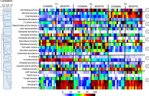 Based On Pairwise Correlations The 26 Analysed Variables Clustered