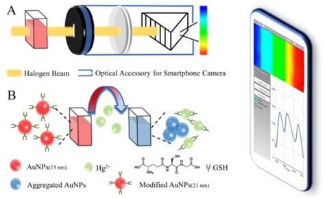 Biosensors Free Full Text A Real Time Detection Method Of Hg2 In