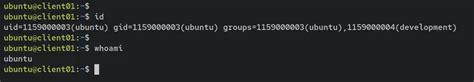How To Install Freeipa Server With Docker On Debian 11 Kirelos Blog