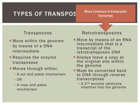 Genomes And Their Evolution Ppt Download