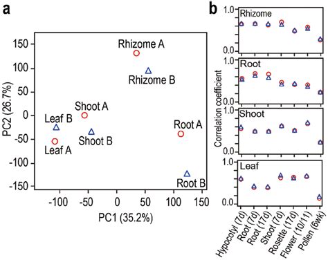 principal component analysis pca of transcriptome data of four