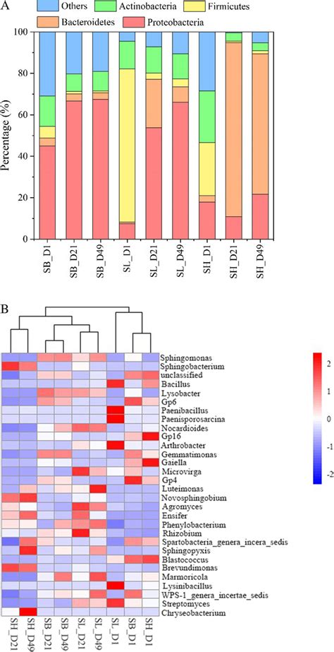 A The Structure Of Bacterial Communities In Sb Sl And Sh At Phylum