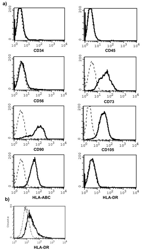 Immunophenotype Of Tstrc Tstrc Displayed A Msc Like Cell Surface