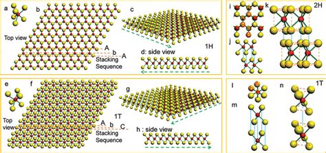 Crystal Structures Of Single‐layer Tmdcs A D 1h Trigonal Prismatic
