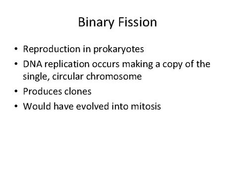Unit 3 Review Cell Division Cell Signaling Binary