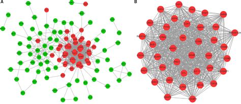 Protein‐protein Interaction Ppi Network Module Analysis And Hub Gene