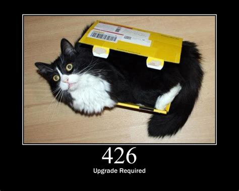 status cats by girliemac classic server error codes now with