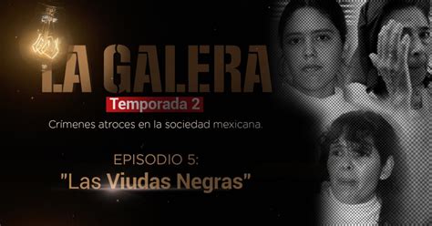 ¿qué Fue De “las Viudas Negras” Las Tres Mujeres De México Que Mataban