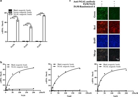 The Analysis Of The Specificity And Affinity Between The Candidate