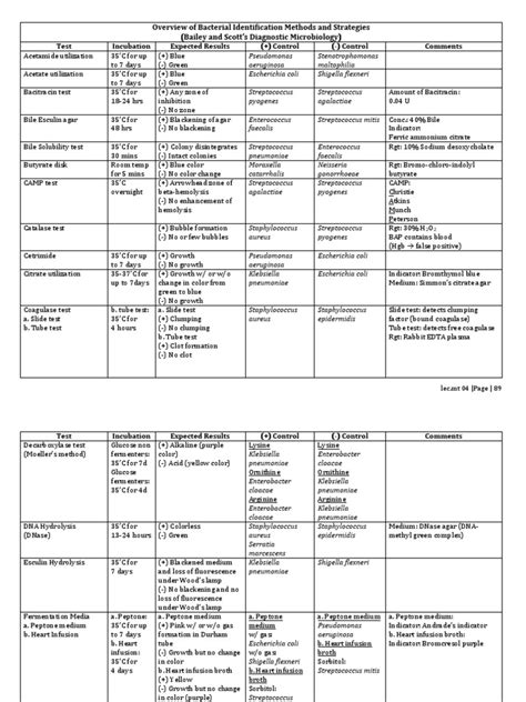 Overview Of Bacterial Identification Methods And Strategies Bailey And
