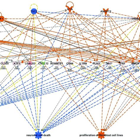 Regulator Effects Hippocampal Network In Ingenuity Pathway Analysis