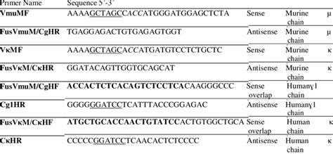 List Of Primers Designed For The Overlap Extension Pcr Restriction