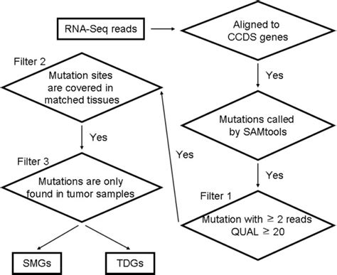 Flowchart Of The Bioinformatics Pipeline The Input Data Is