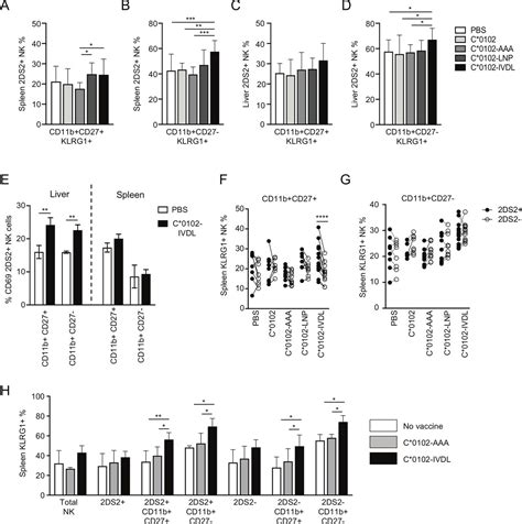 Peptide Mhc Based Dna Vaccination Strategy To Activate Natural Killer