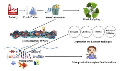 Microplastics In Ecosystems Their Implications And Mi