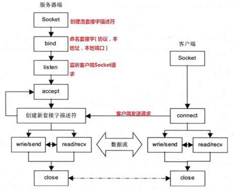 socket网络编程 tcp编程 尹正杰 博客园