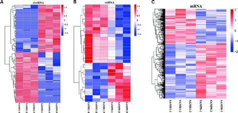 Cluster Analysis Using A Heatmap A Cluster Analysis Of Differentially