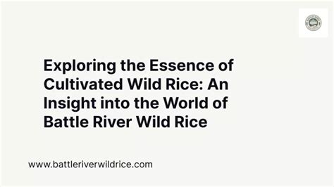 Ppt Cultivated Wild Rice Powerpoint Presentation Free Download Id