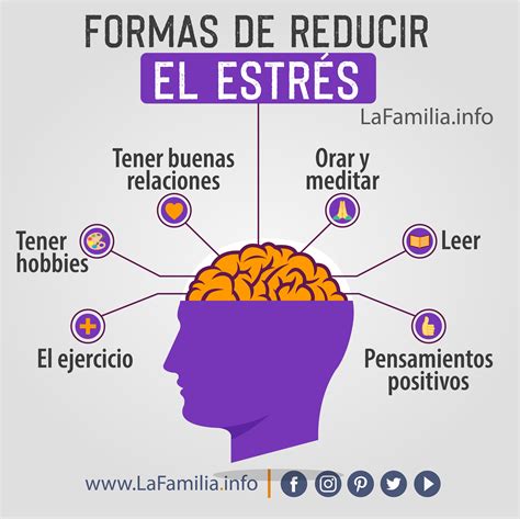 Etapas De Estres Ilustrado