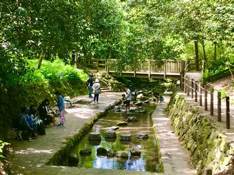 【柿田川公園 柿田川湧水群】富士山の湧水が創り出す、静謐で神秘的なクリアブルーの風景 Column｜izu Letters