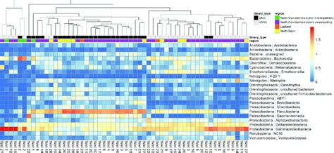 Heatmap Showing Differences In Bacterial Communities Based On Taxonomic