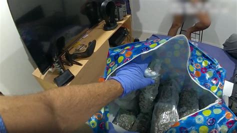 Queensland Police Uncover More Than 120m In Drugs In 13 Month Police