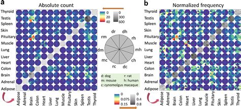 Tissue Specificity Of Gene Expression Evolves Across Mammal Species